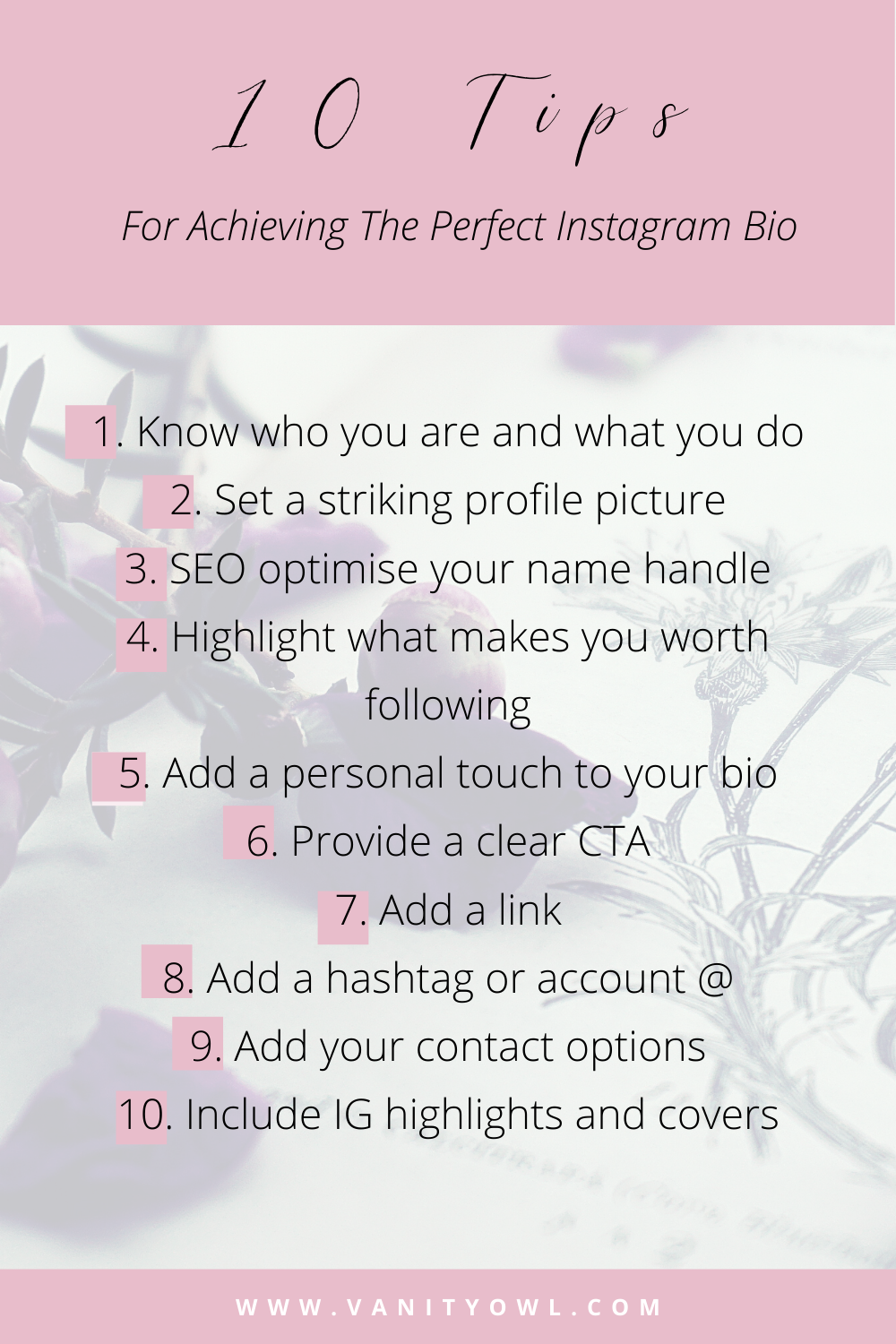 10 Essential tips for your Instagram Bio optimisation needs - Vanity Owl